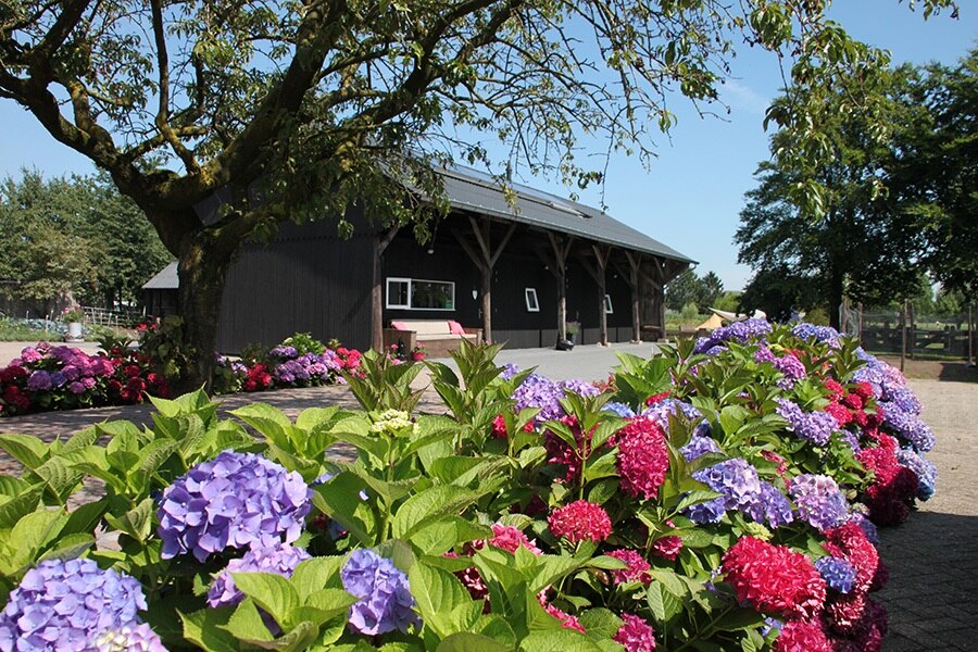 Kampeerhoeve Bussloo | ACSI